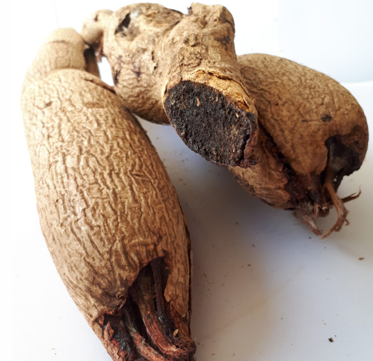 Abel's Butea Superba: Benefits, Dosage & Side Effects